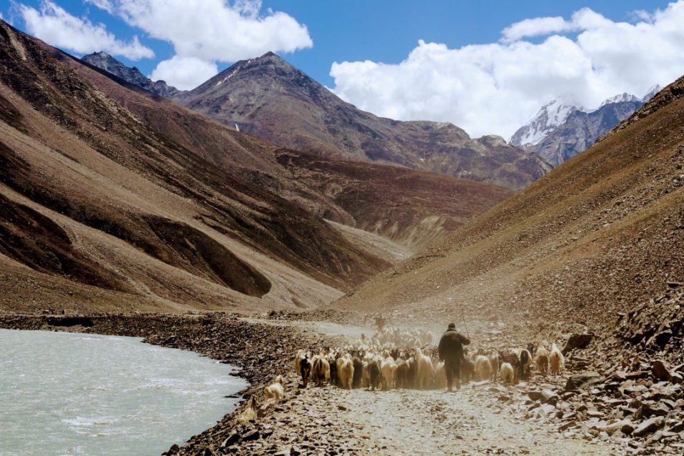 The Pastor as Shepherd of God's Flock - Emmanuel Community Church